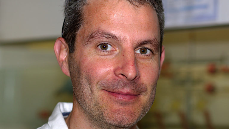 Arnaud Gissot University Lecturer - ChemBioPharm